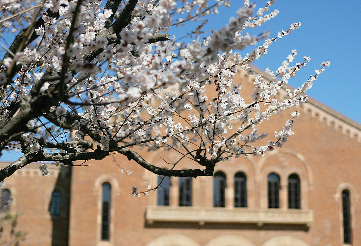 School of Business Administration / Hitotsubashi University Business School